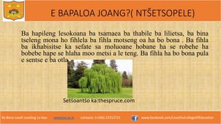 PAPALI EA LESOKOANA | PPTX