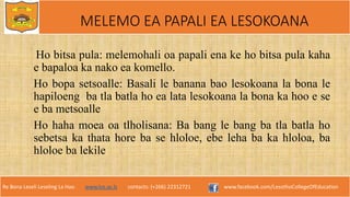 PAPALI EA LESOKOANA | PPTX
