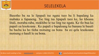 PAPALI EA LESOKOANA | PPTX