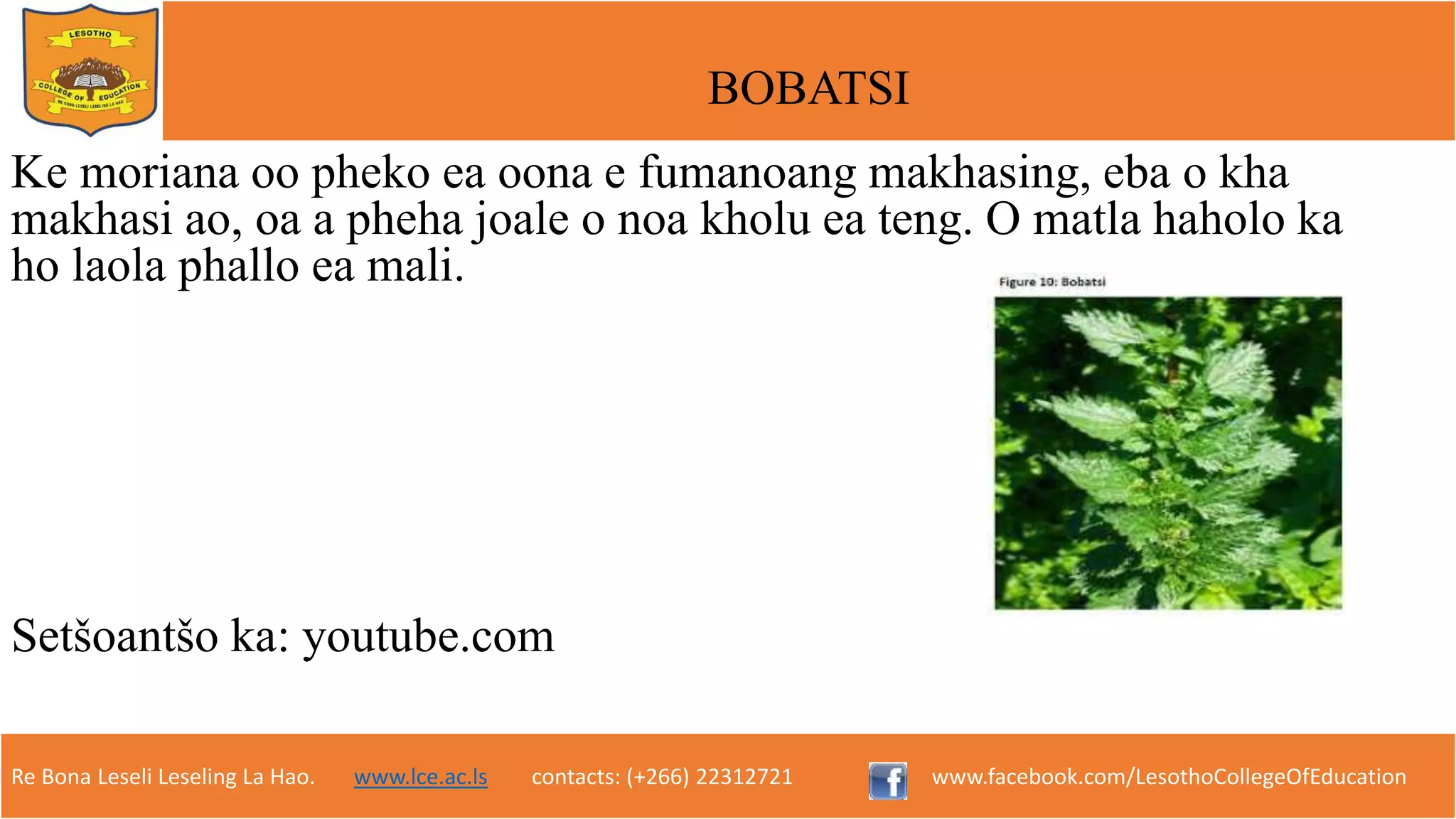 Meriana ea Sesotho e phekolang | PPTX