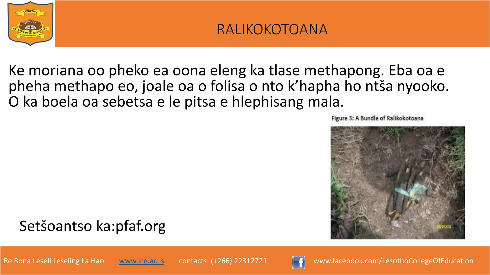 Meriana ea Sesotho e phekolang | PPTX