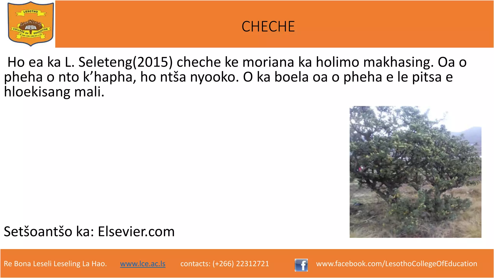 Meriana ea Sesotho e phekolang | PPTX