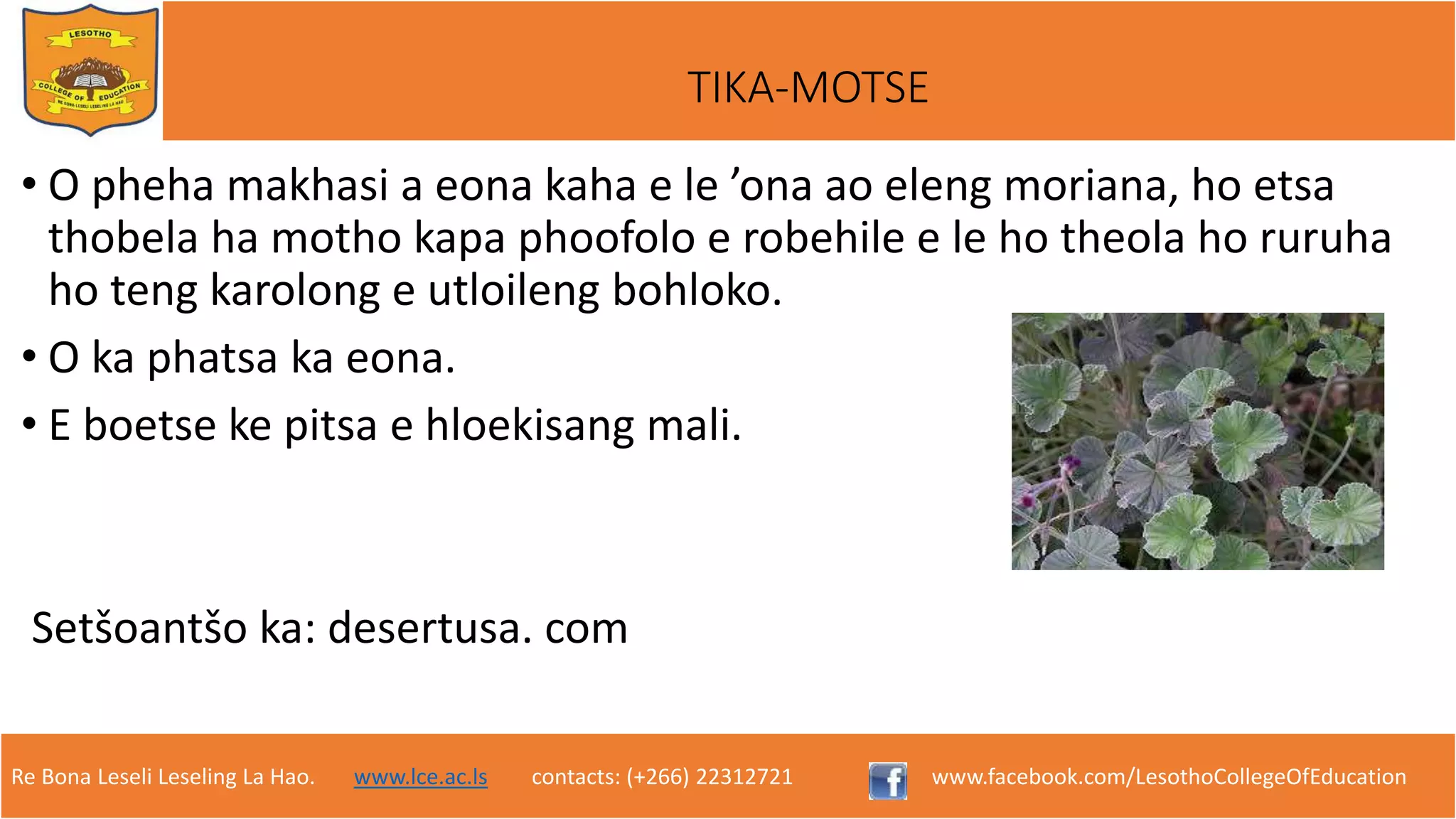 Meriana ea Sesotho e phekolang | PPTX