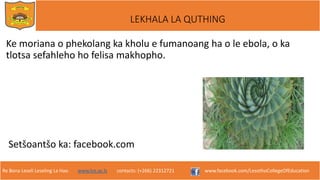 Meriana ea Sesotho e phekolang | PPTX