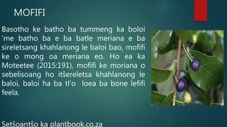 Presentation[2017 0597] | PPTX