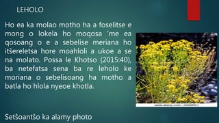 Presentation 2017 0597 Pptx