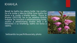 Presentation 2017 0597 Pptx