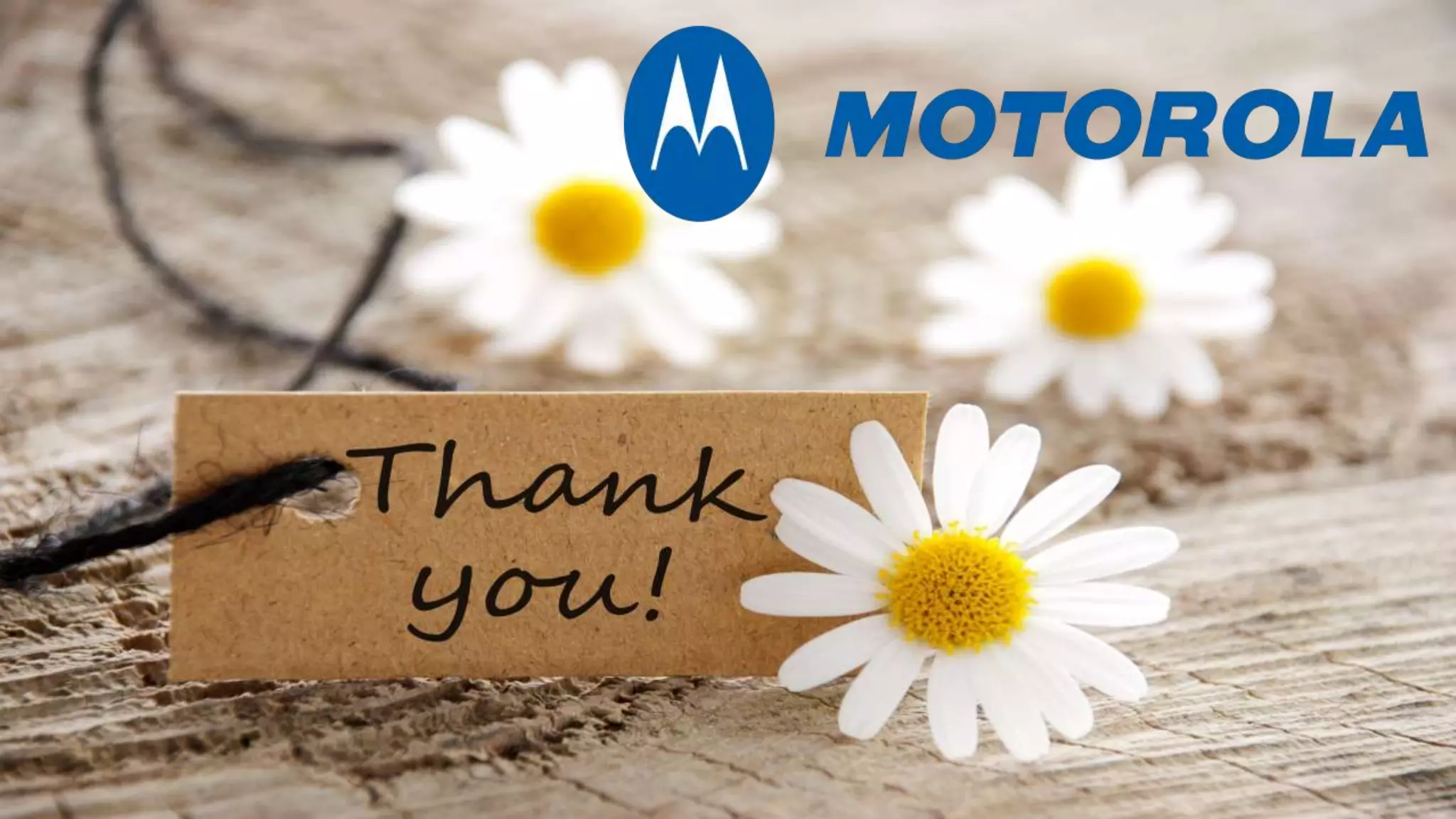 Presentation on motorola | PPTX