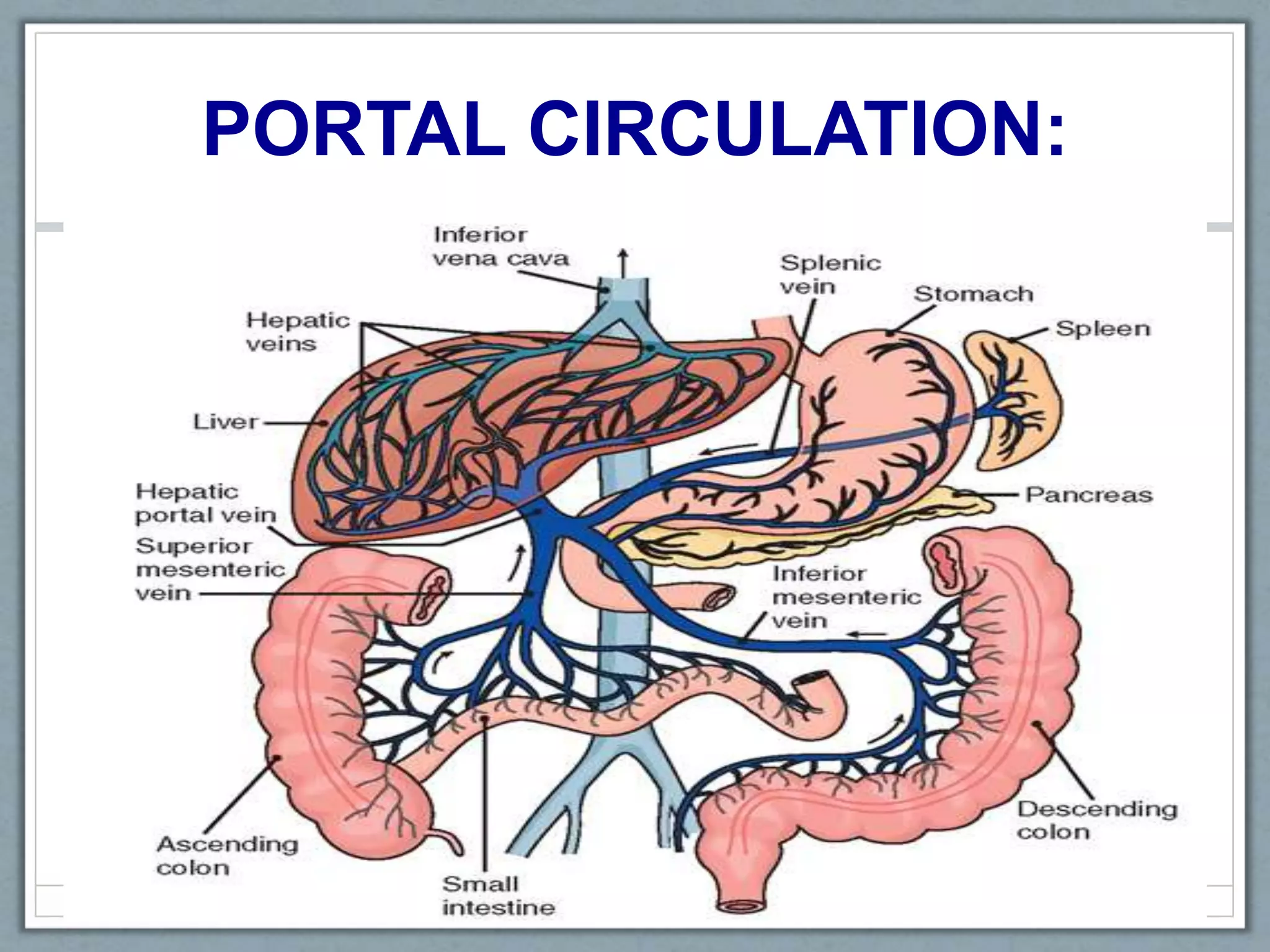 Portal Hypertension in children | PPTX