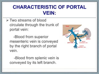 Portal Hypertension in children | PPTX