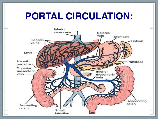 Portal Hypertension in children