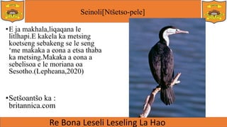 Linonyana tsa Lesotho | PPTX