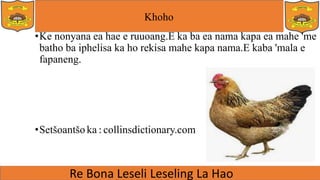 Linonyana tsa Lesotho | PPTX