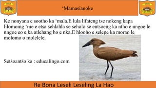 Linonyana tsa Lesotho | PPTX