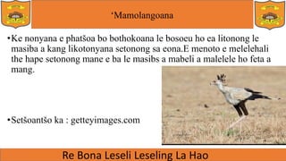 Linonyana tsa Lesotho | PPTX