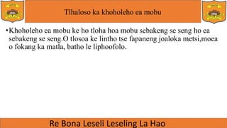 khoholeho ea mobu | PPTX | Geography | Science