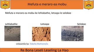 MEFUTA E MERARO EA MOBU LE MESEBETSI EA OONA | PPTX | Africa Travel ...