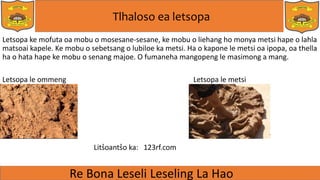 MEFUTA E MERARO EA MOBU LE MESEBETSI EA OONA | PPTX | Africa Travel ...