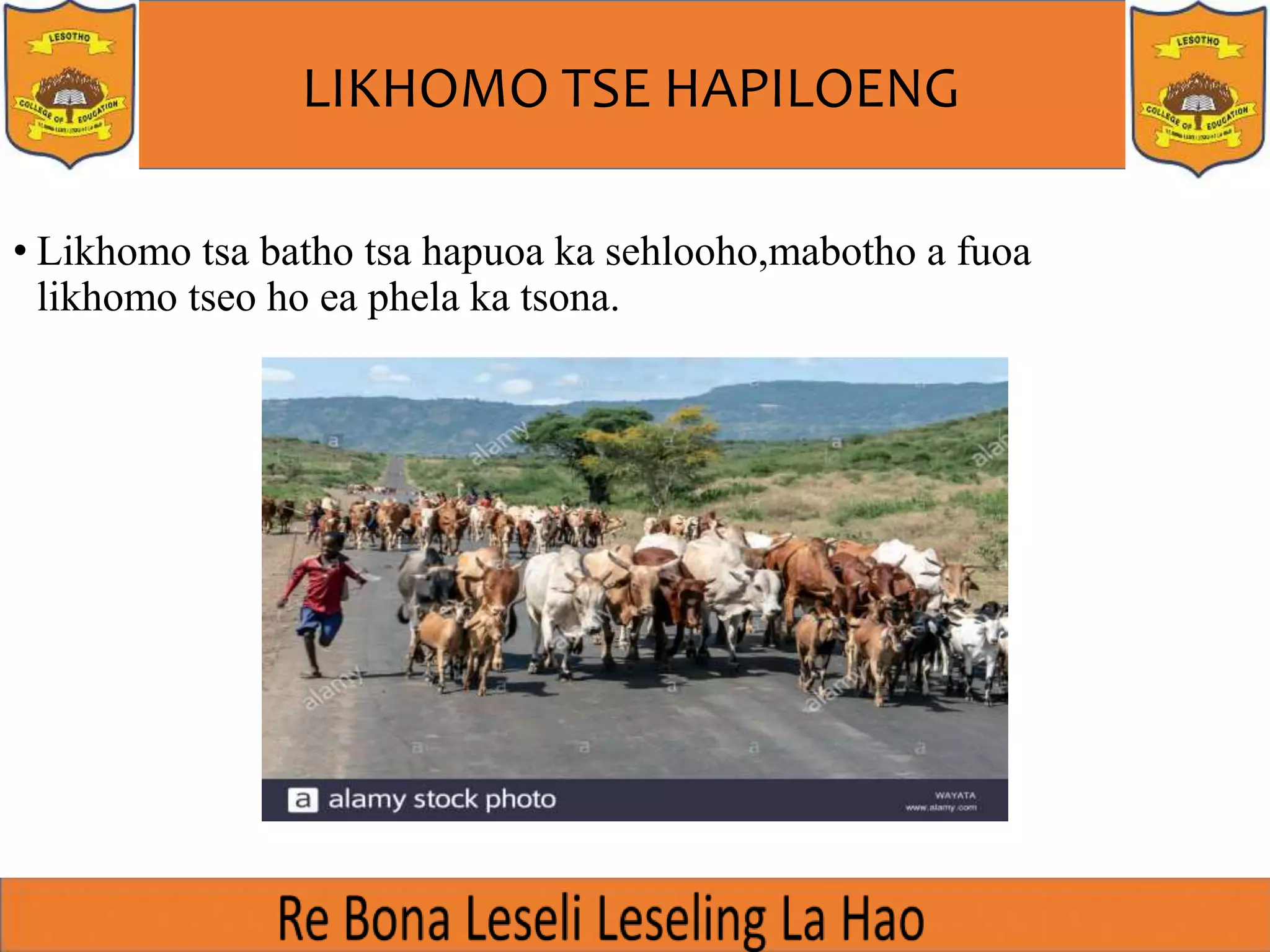 Presentation(20180151)puleng 1 | PPT