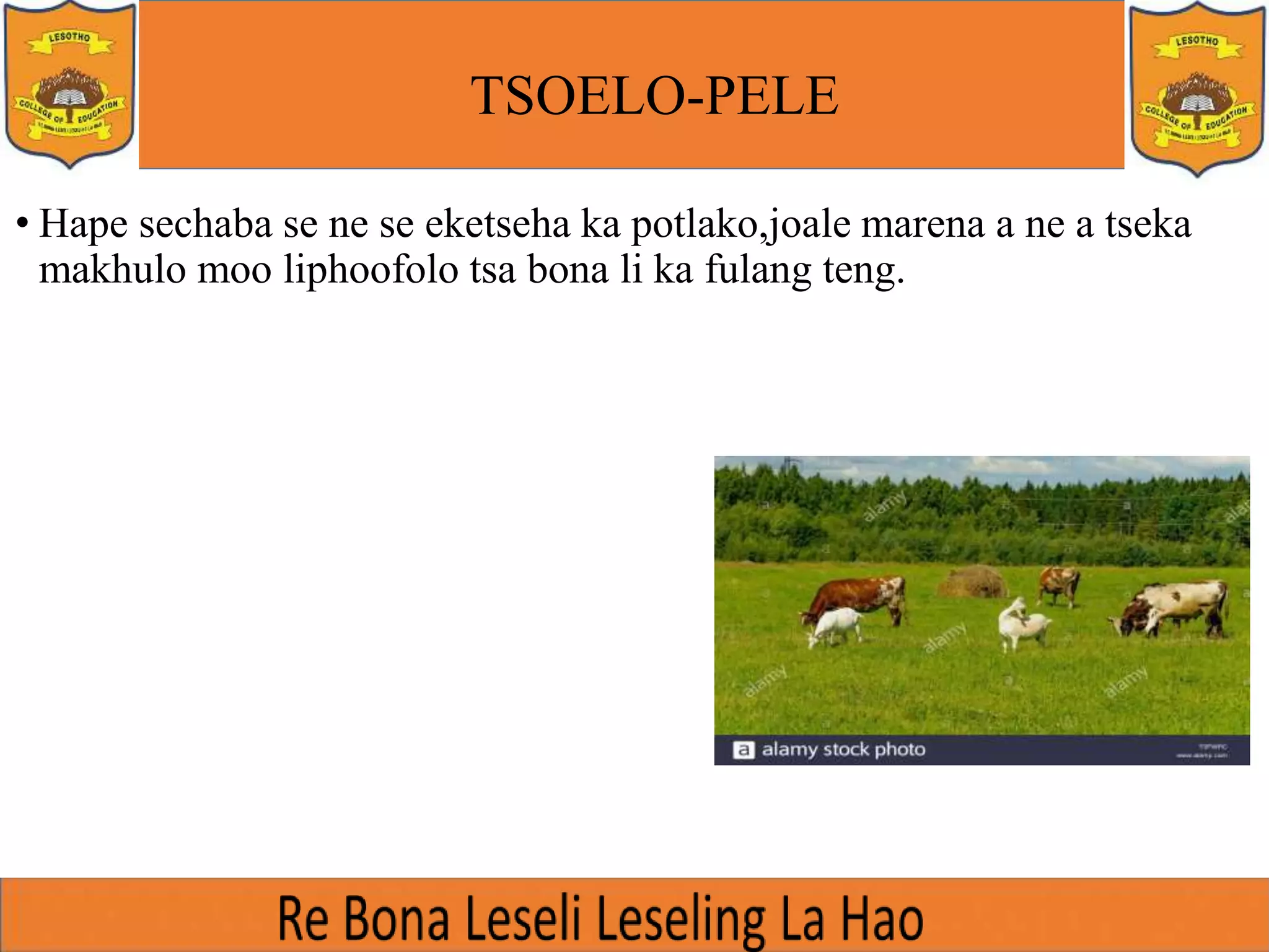 Presentation(20180151)puleng 1 | PPT