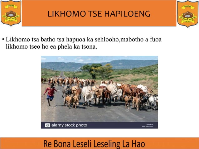 Presentation(20180151)puleng 1 | PPT