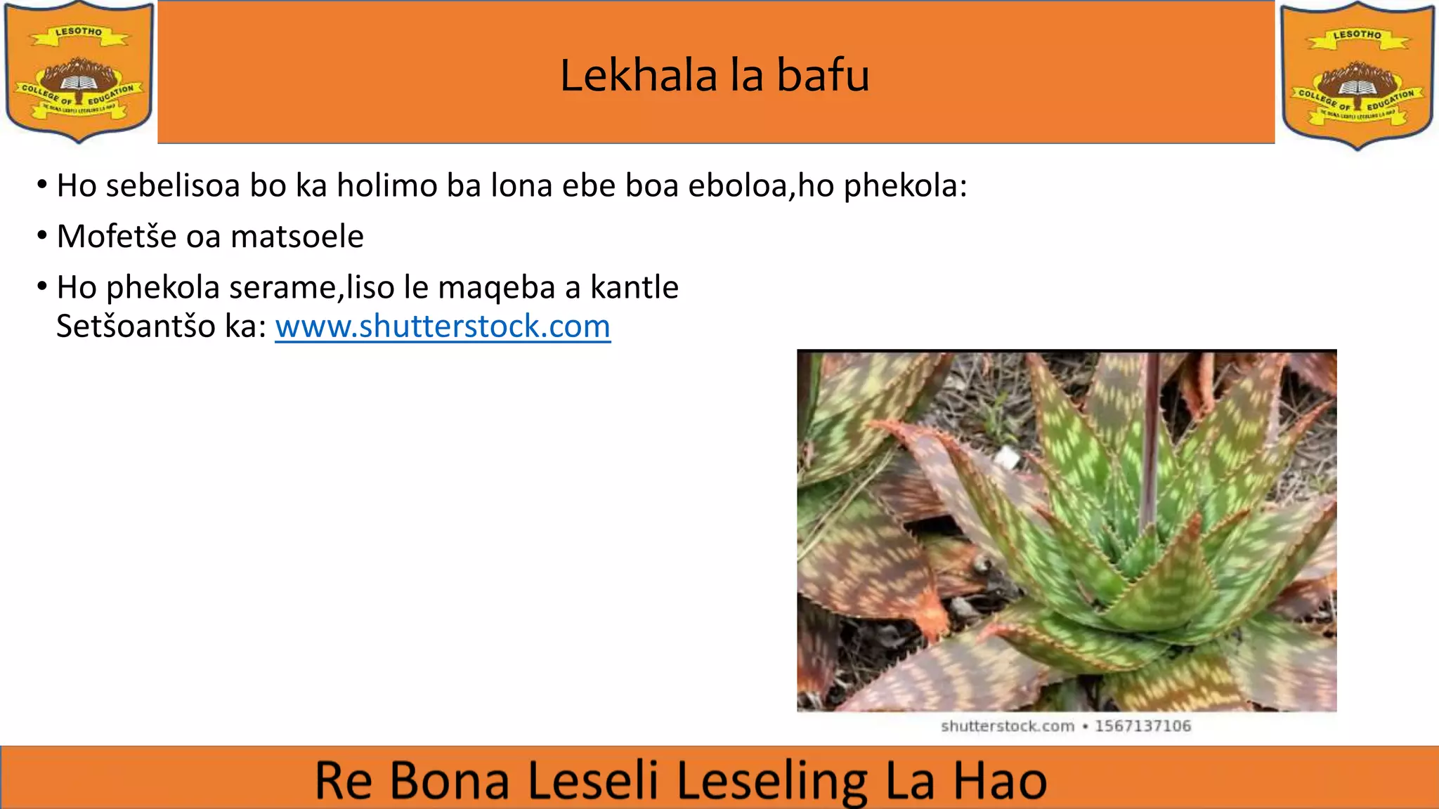 MERIANA EA SESOTHO | PPTX