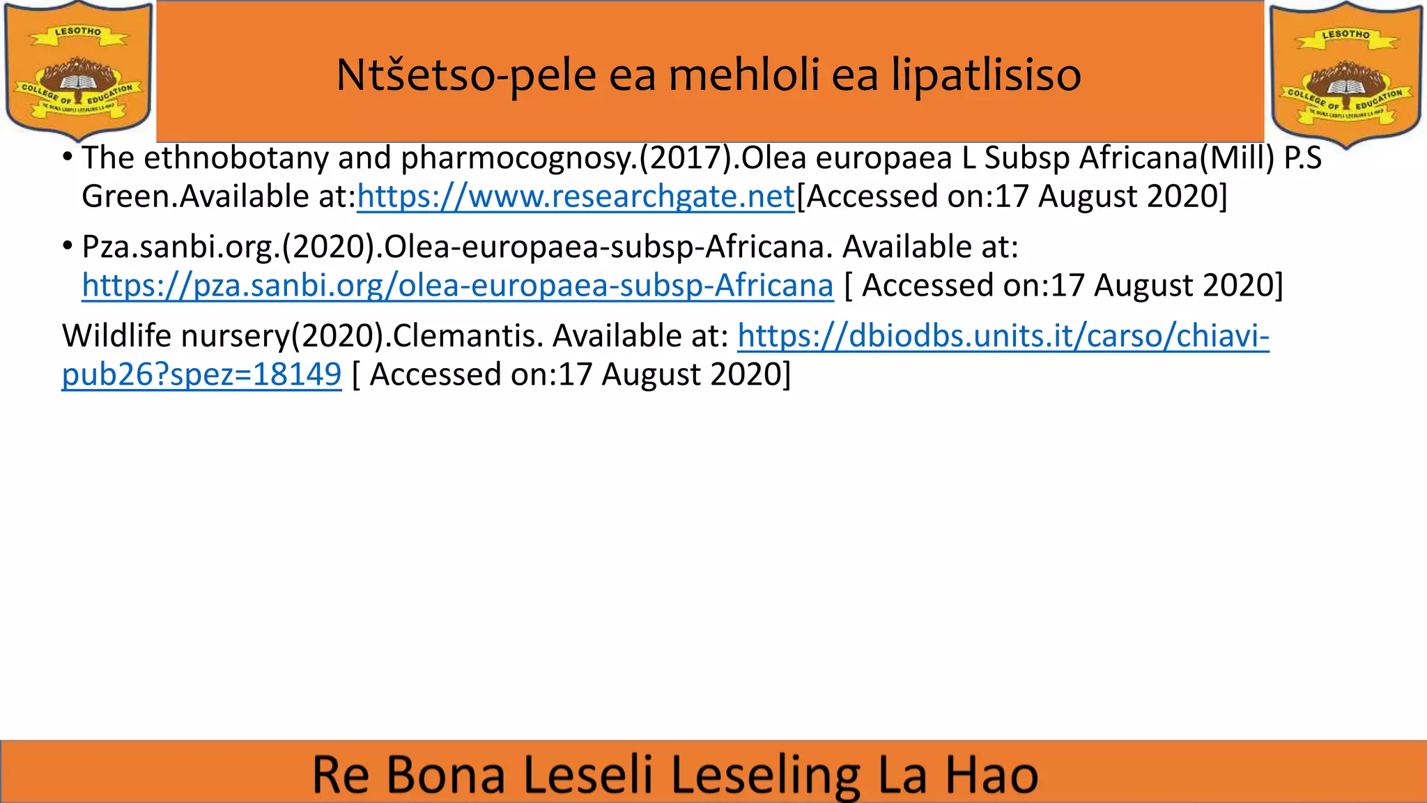 MERIANA EA SESOTHO | PPTX