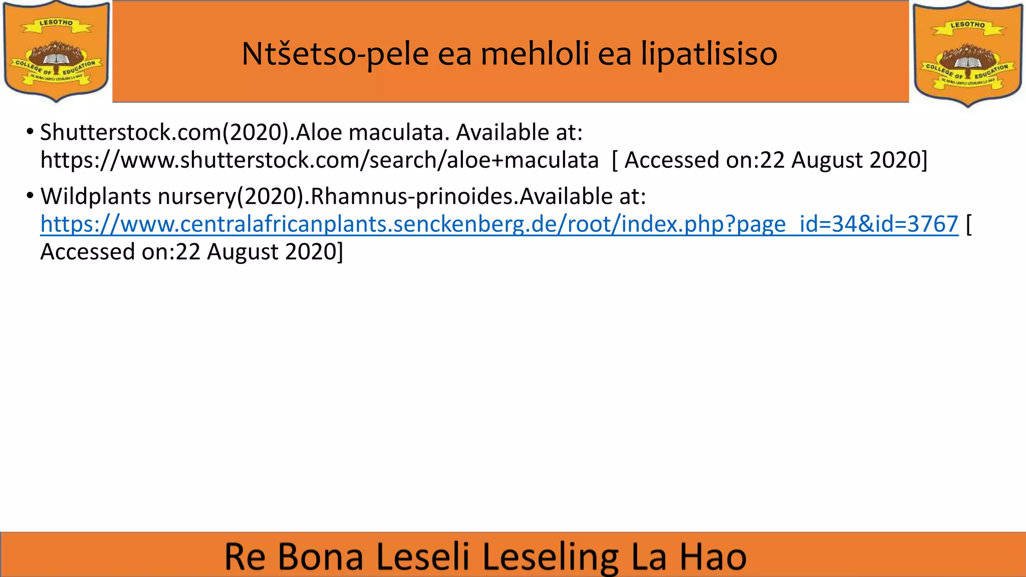 MERIANA EA SESOTHO | PPTX