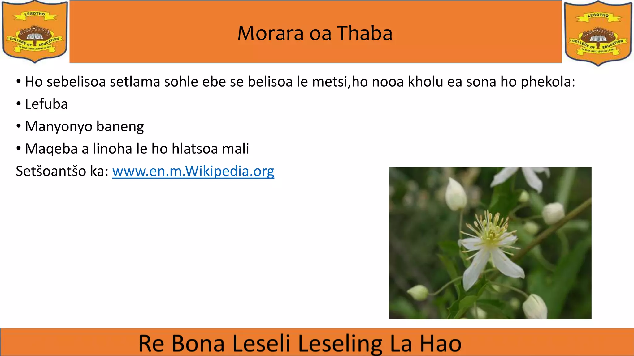 MERIANA EA SESOTHO | PPTX