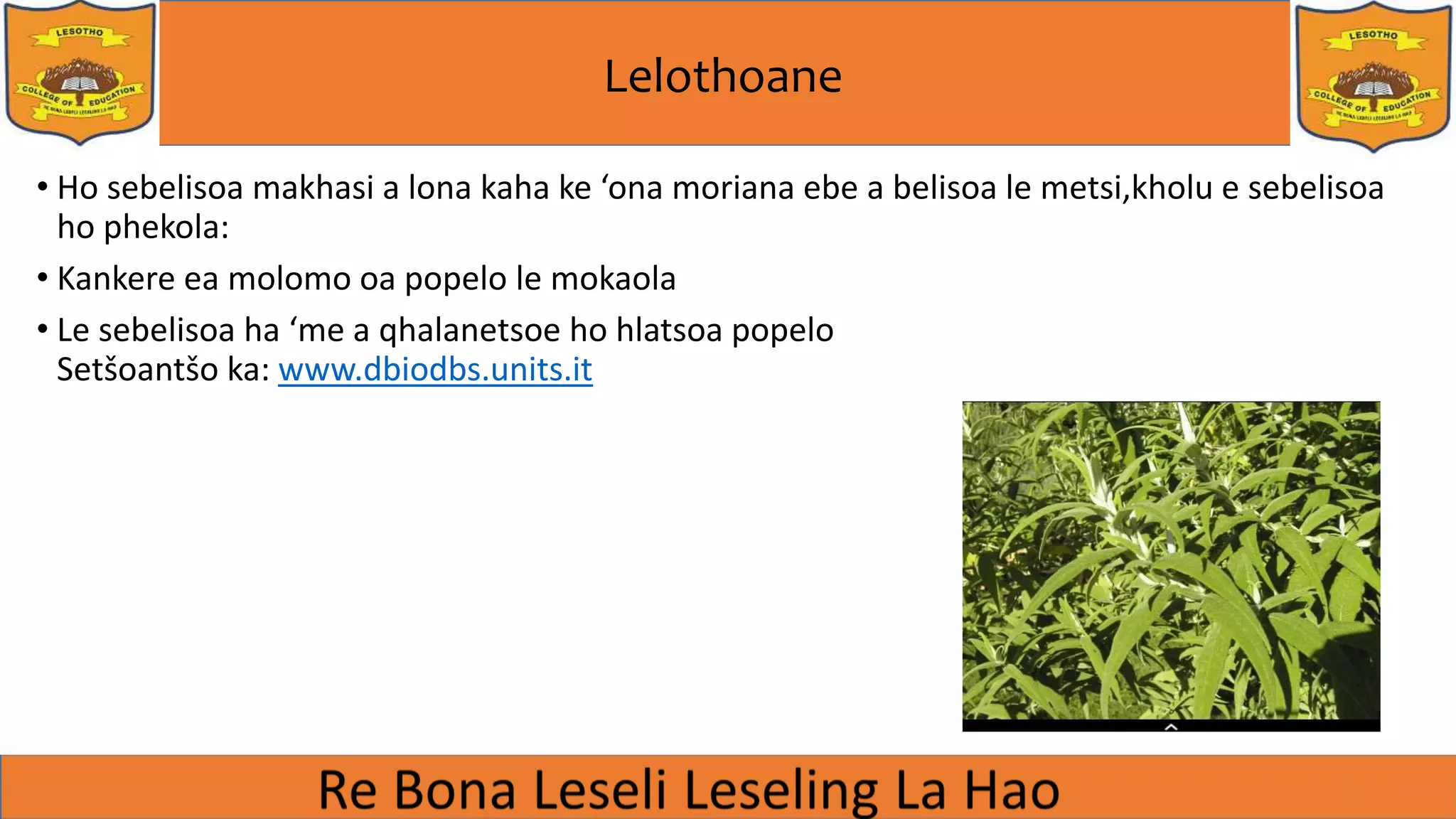 MERIANA EA SESOTHO | PPTX