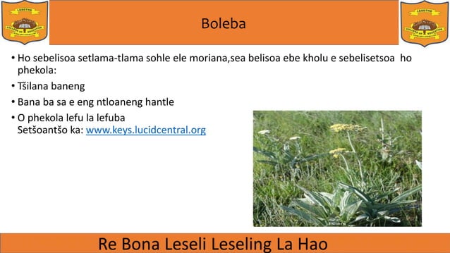 MERIANA EA SESOTHO | PPTX | Africa Travel | Travel Locations