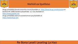 MERIANA EA SESOTHO | PPTX