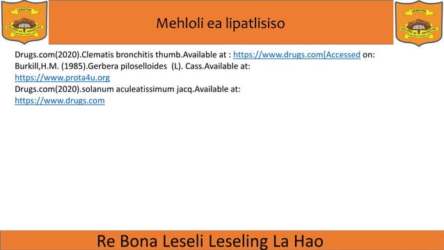 MERIANA EA SESOTHO | PPTX | Africa Travel | Travel Locations