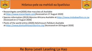 MERIANA EA SESOTHO | PPTX