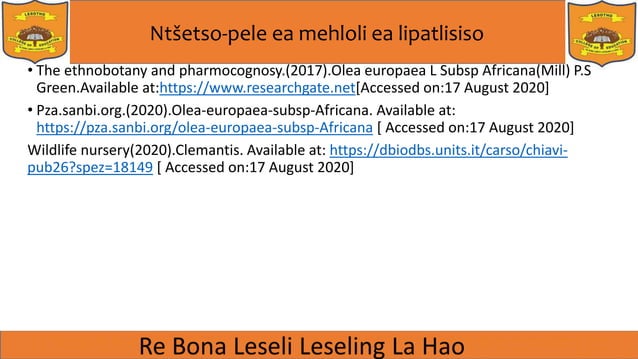 MERIANA EA SESOTHO | PPTX | Africa Travel | Travel Locations