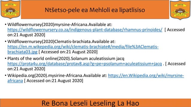 MERIANA EA SESOTHO | PPTX | Africa Travel | Travel Locations