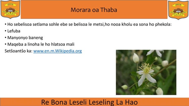 MERIANA EA SESOTHO | PPTX | Africa Travel | Travel Locations