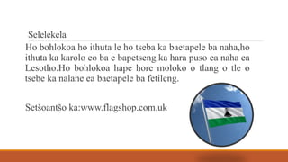 NALANE EA PAKALITHA BETHUEL MOSISILI | PPTX