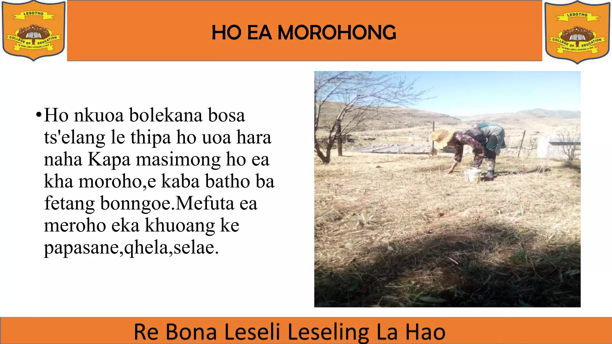 Mesebetsi ea basali ba Basotho | PPTX