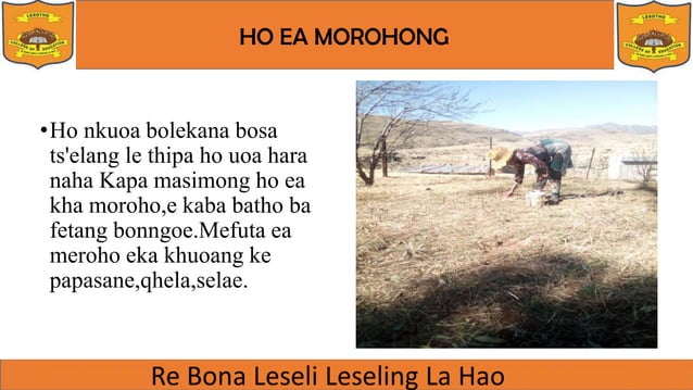 Mesebetsi ea basali ba Basotho | PPTX | Africa Travel | Travel Locations