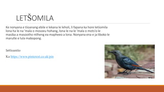 LINONYANA TSE NYENYANE | PPTX