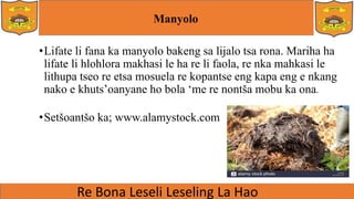 Melemo ea lifate | PPTX