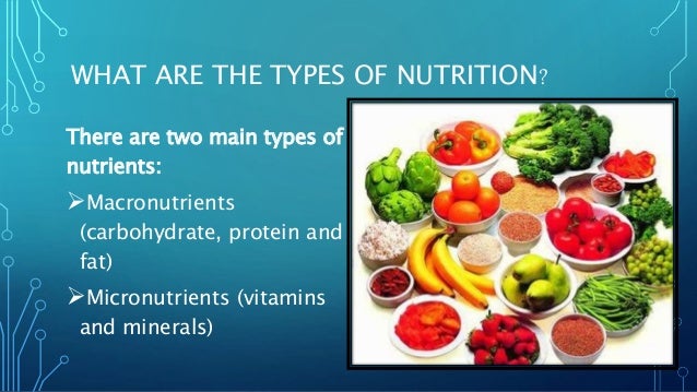 Importance of Physical Exercise and Nutrition on Health among Adolesc…