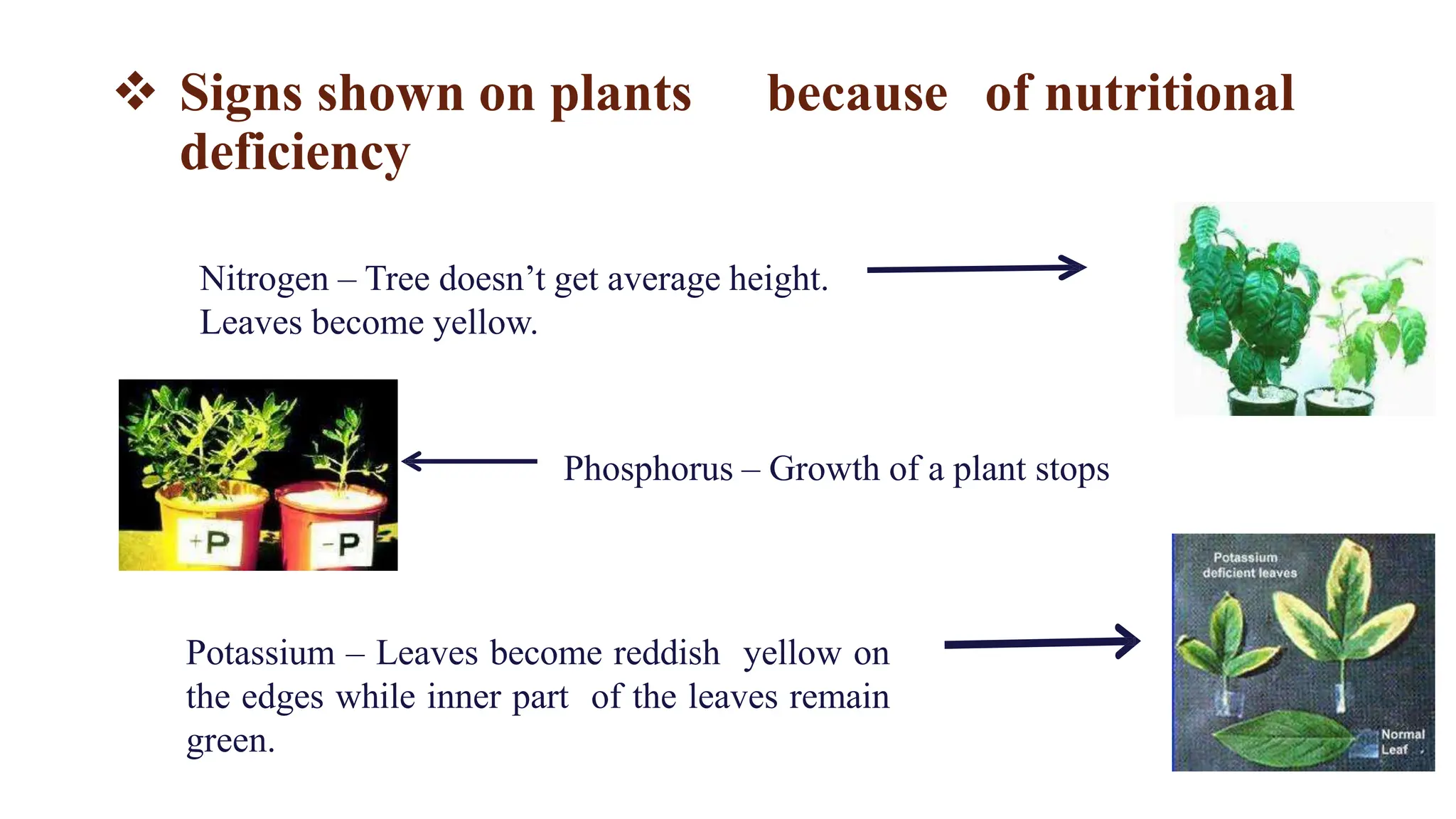 Soil sampling analysis for various technique | PPTX