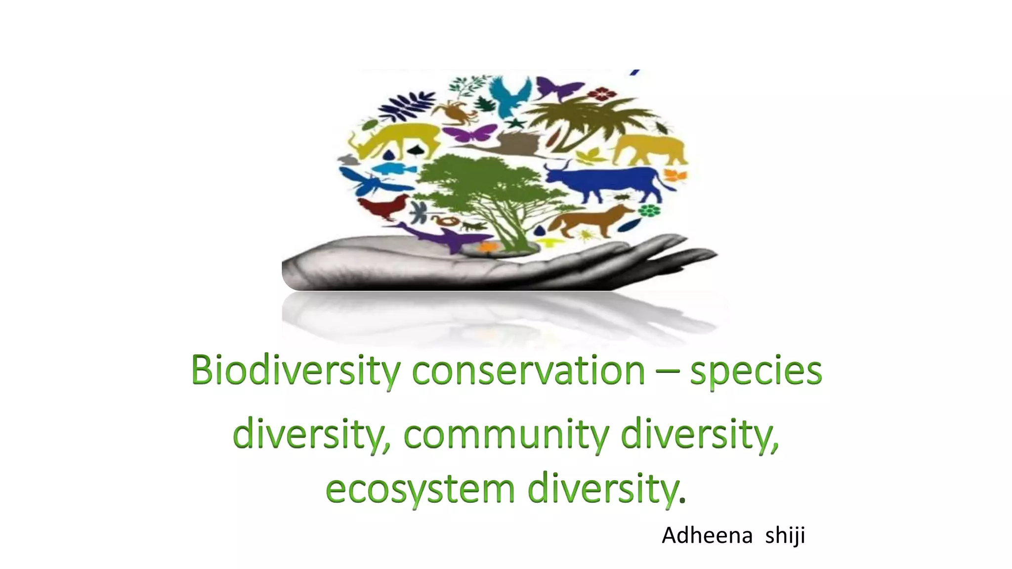 Biodiversity | PPT