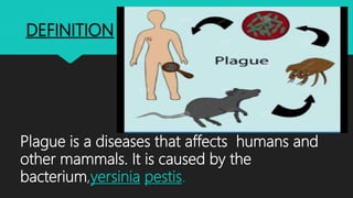Epidemiology ,control and management of plague | PPTX
