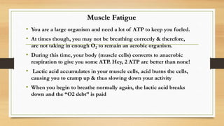Aerobic and anaerobic respiration | PPTX