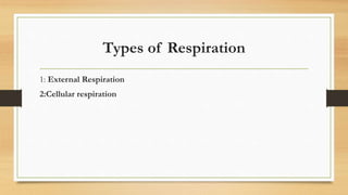 Aerobic and anaerobic respiration | PPTX
