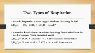 Aerobic and anaerobic respiration | PPTX