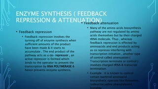 Presentation (2) (1) | PPT